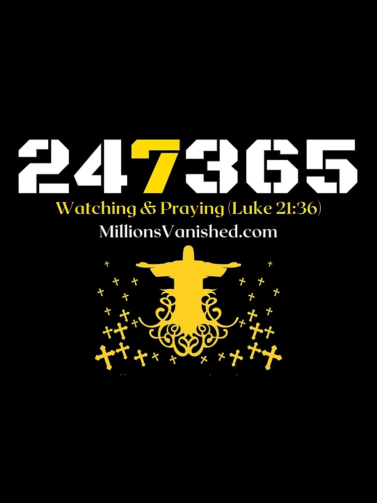 247365 – Millions Vanished